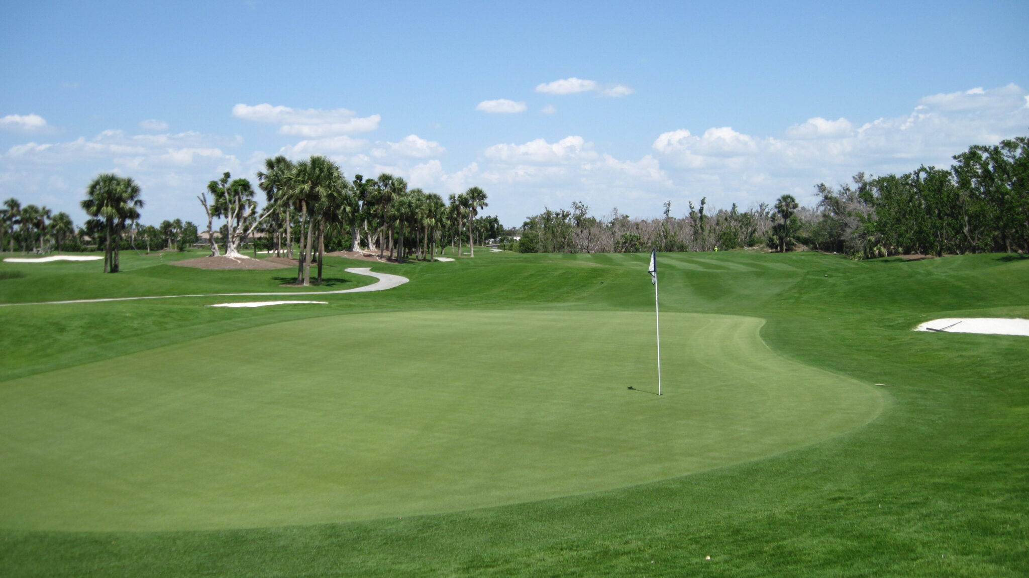 A Turfgrass Capable of Weathering the Storm